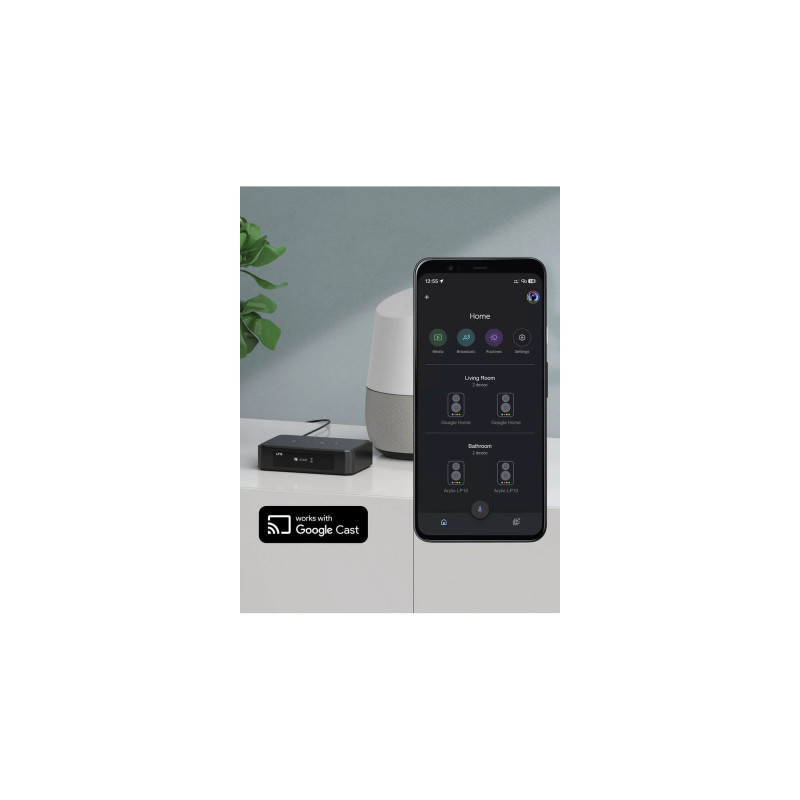 Arylic LP10 - Streamer audio AirPlay 2 i Google Cast